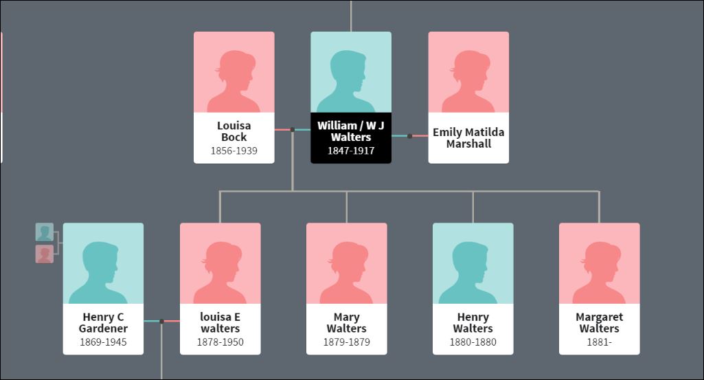 Louisa Bock 1856 -1939 – Gardener family history blog